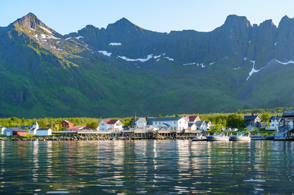 Tour Guide For Northern Lights, Hikes, Authentic Experiences